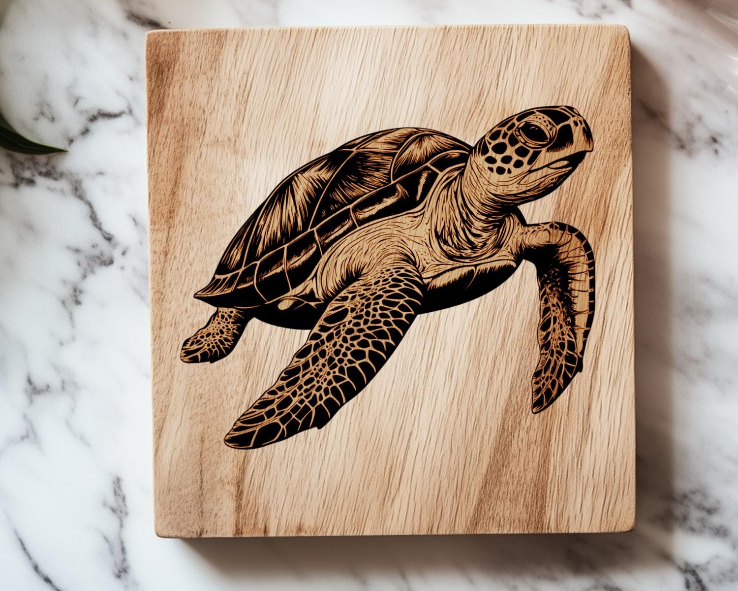 B & W Sea Turtle SVG PNG Laser Engrave Clipart Black and White Vector ...