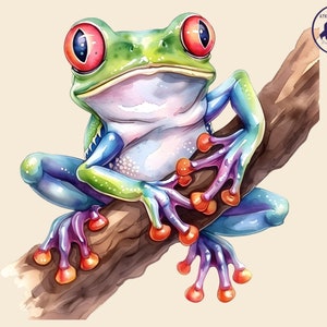 Frog Clipart Red-eyed Tree Frog Artistic PNG Tree Frogs SVG Vector ...