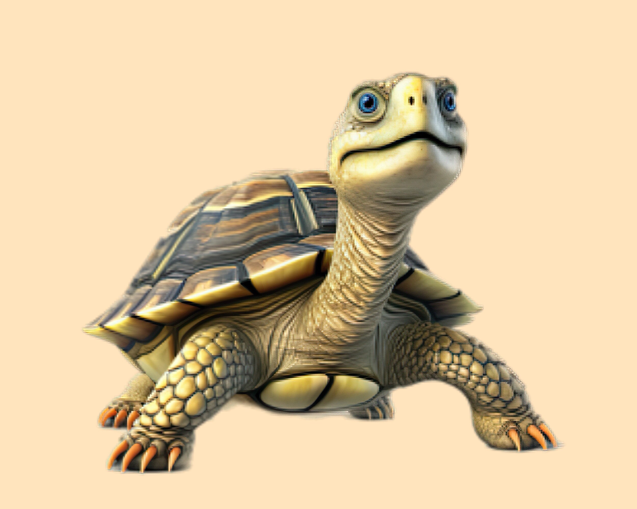 PNG Cute Turtle 3D Vtuber Asset, Set of 4 Individual Elements on ...