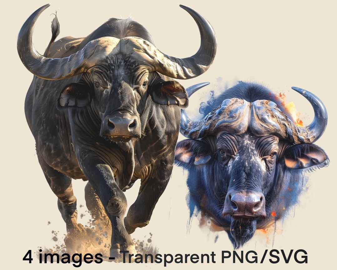 African Cape Buffalo Clipart Safari Animal High Definition PNG File ...