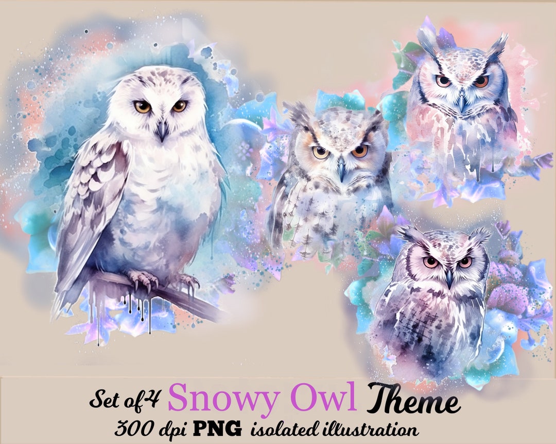 Snowy Owl Clipart Owl PNG White Arctic Owl Illustration Bird Png ...