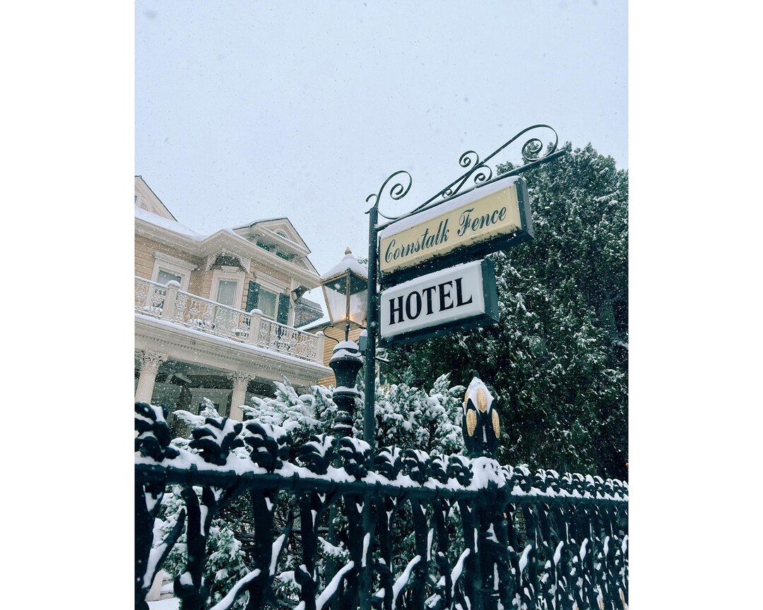 CORNSTALK FENCE - New Orleans French Quarter Photography - Snow Storm ...