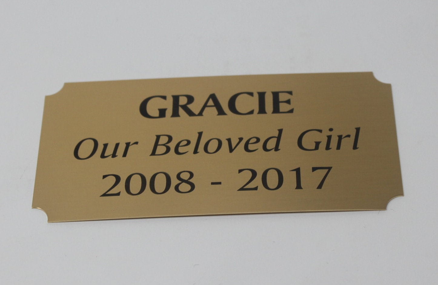 Personalized Engraved Plate/ Multiple Size Options/ Gold Brass - Etsy