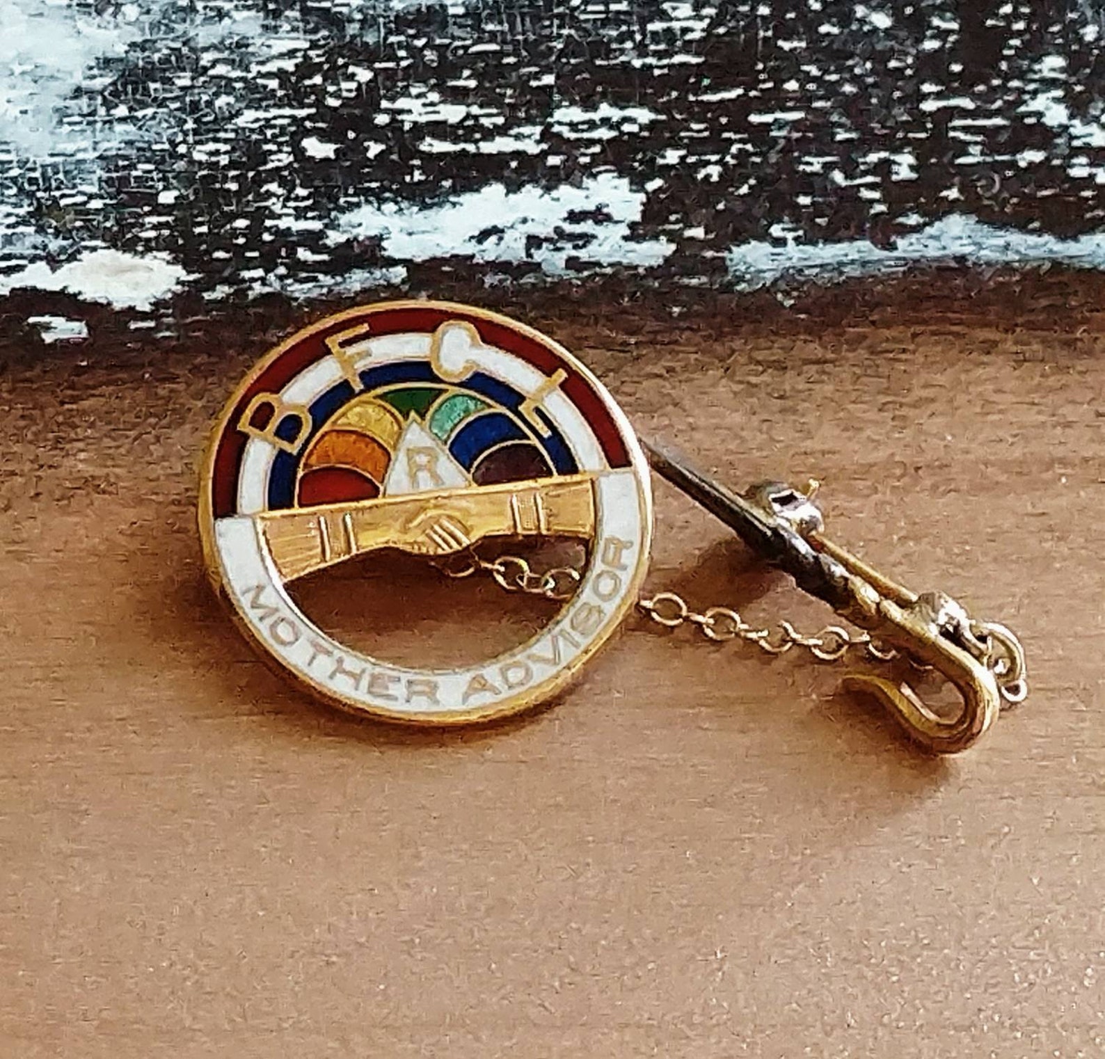 Vintage BFCL International Order of Rainbow Girls Two Part | Etsy