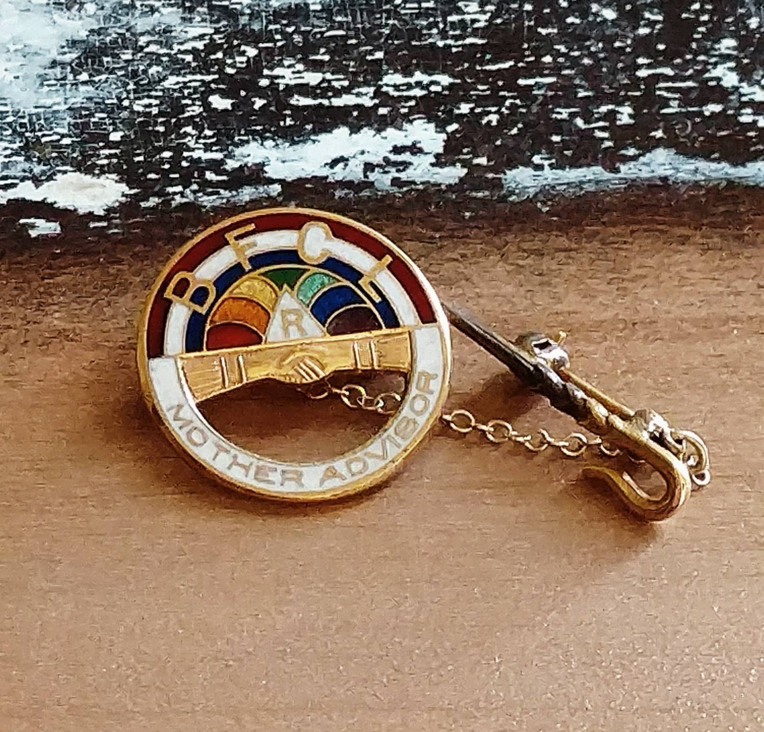 Vintage BFCL International Order of Rainbow Girls Two Part | Etsy