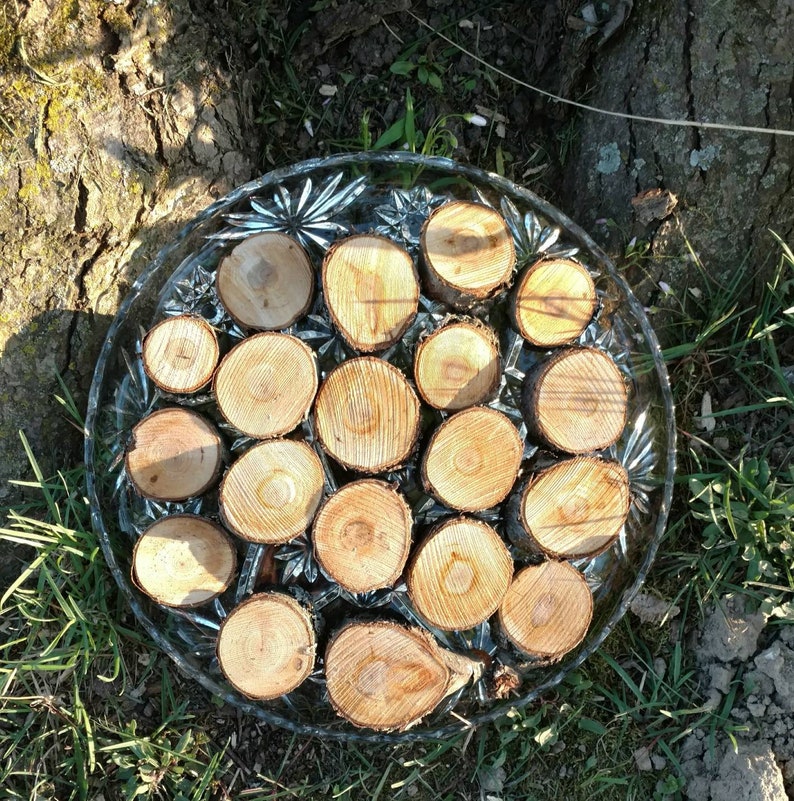 Cherry Wood With Bark Organic Hand Selected Seasoned Disk | Etsy