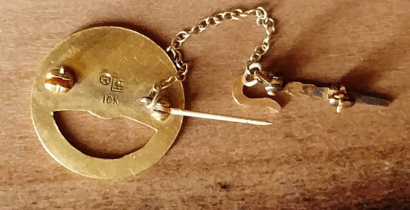 Vintage BFCL International Order of Rainbow Girls Two Part | Etsy