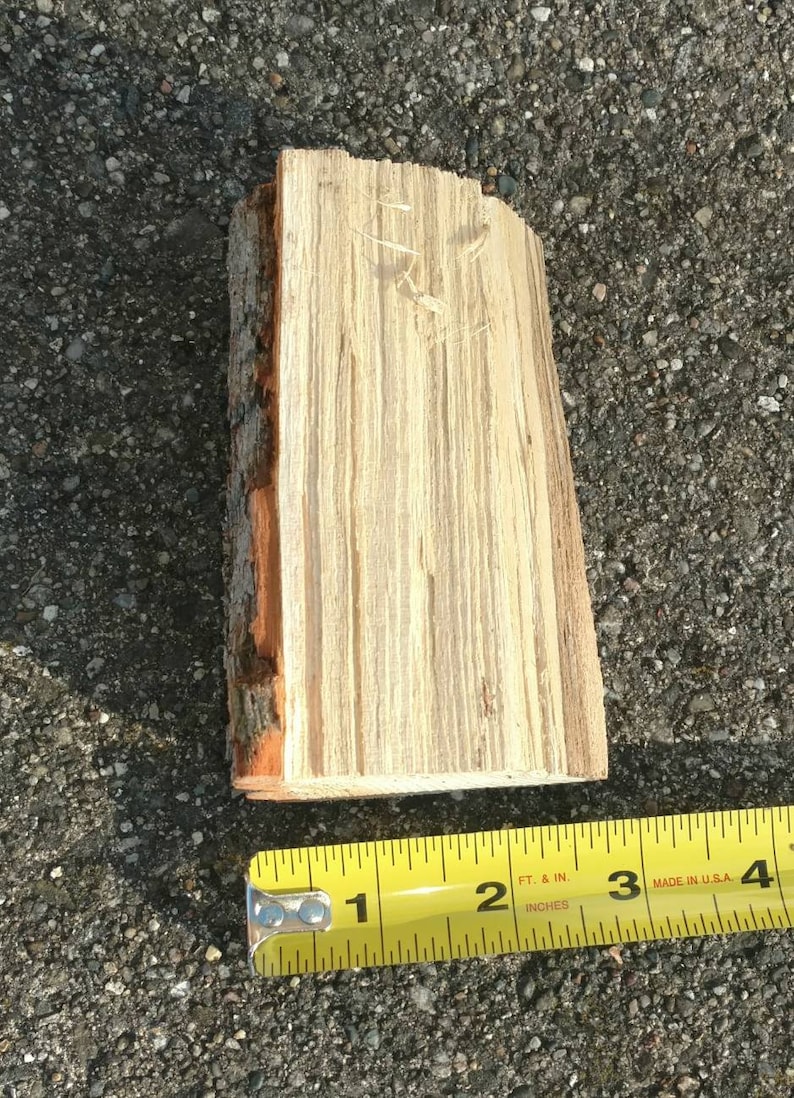 Sassafras Wood With Bark Organic Hand Selected Seasoned Chunk - Etsy
