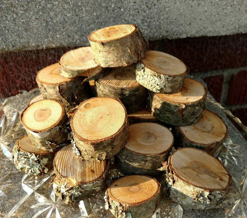Cherry Wood With Bark Organic Hand Selected Seasoned Disk | Etsy
