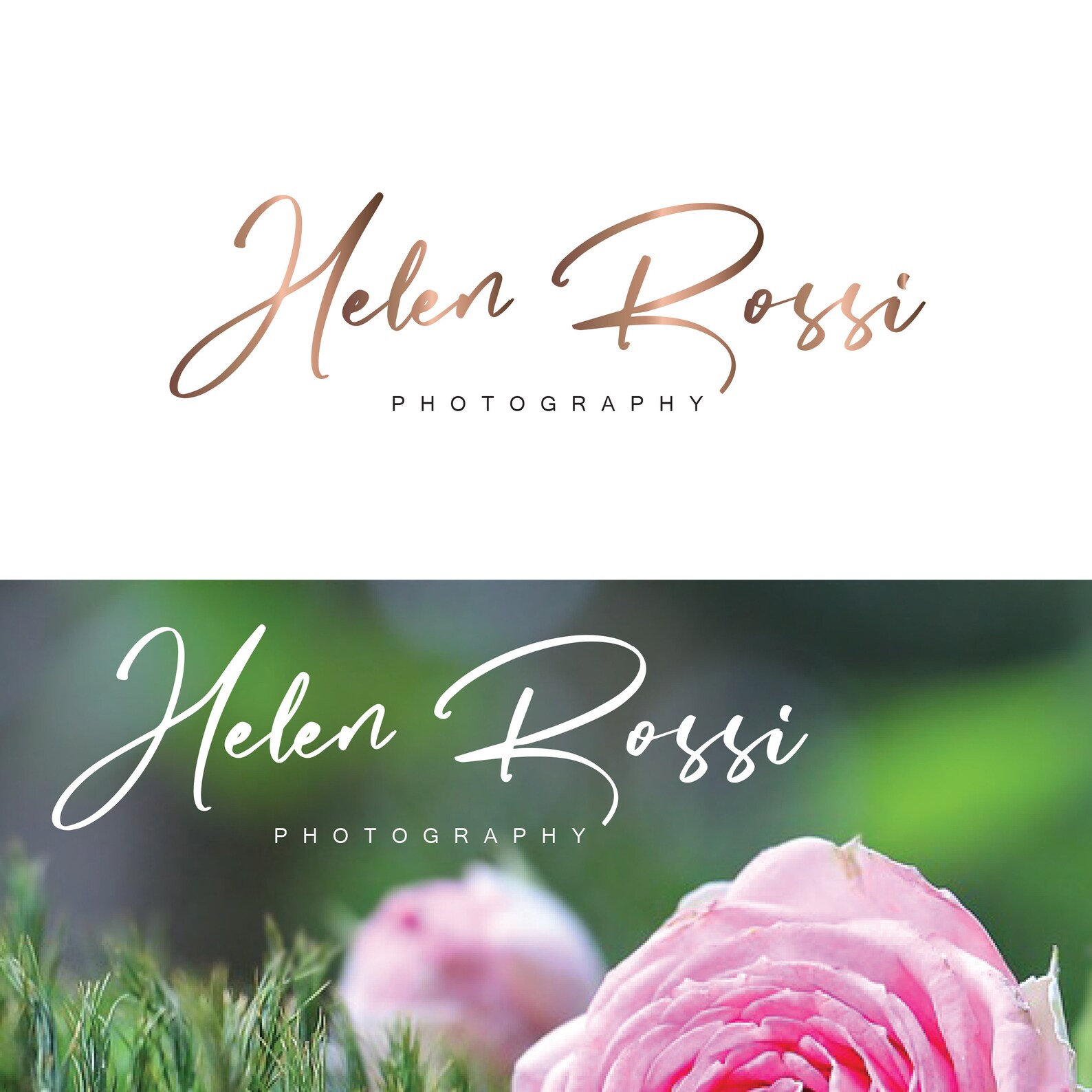 Handwritten Signature Font Logo Font Handwritten Signature - Etsy