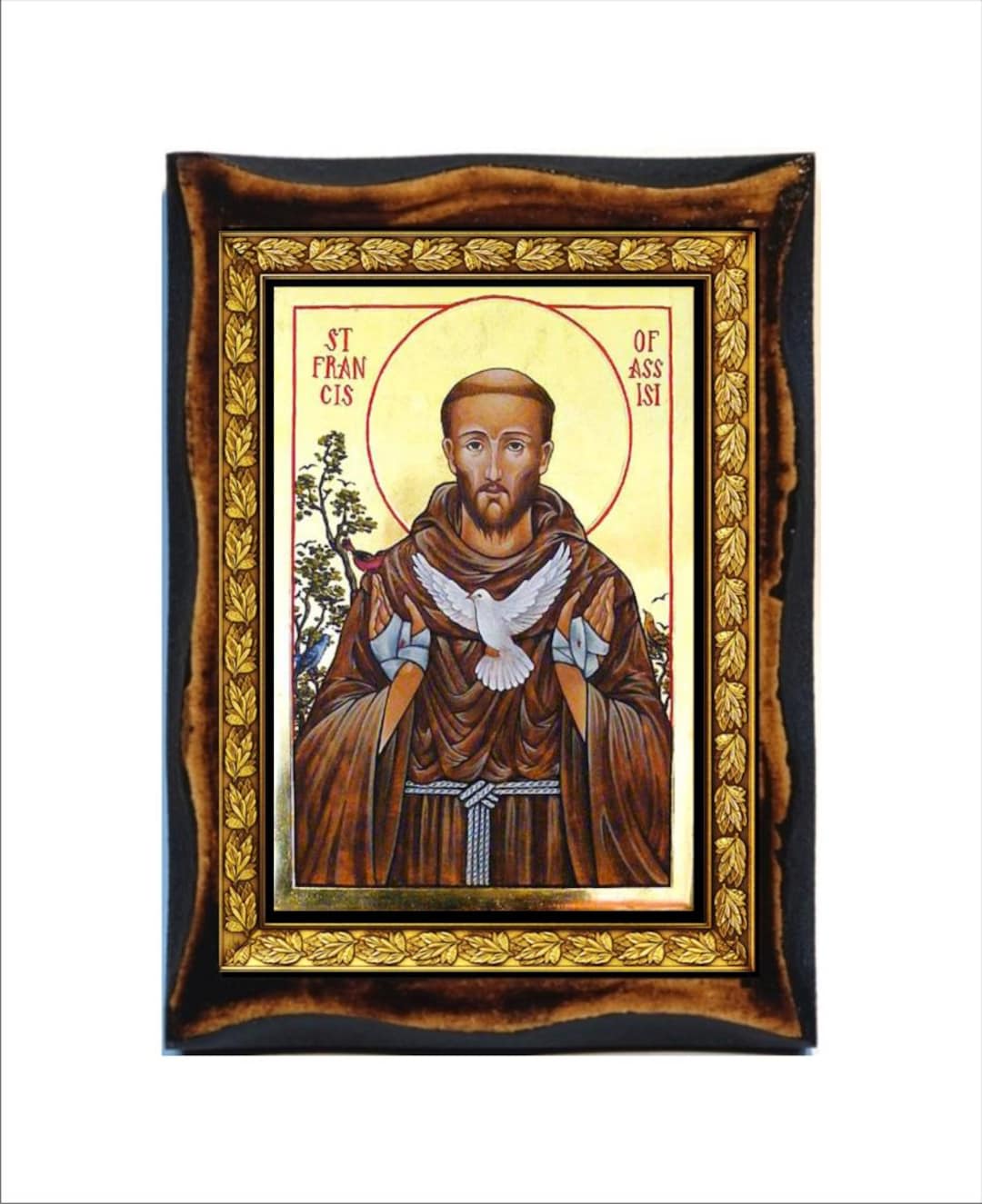 Saint Francis of Assisi San Francesco San Francisco Saint François ...