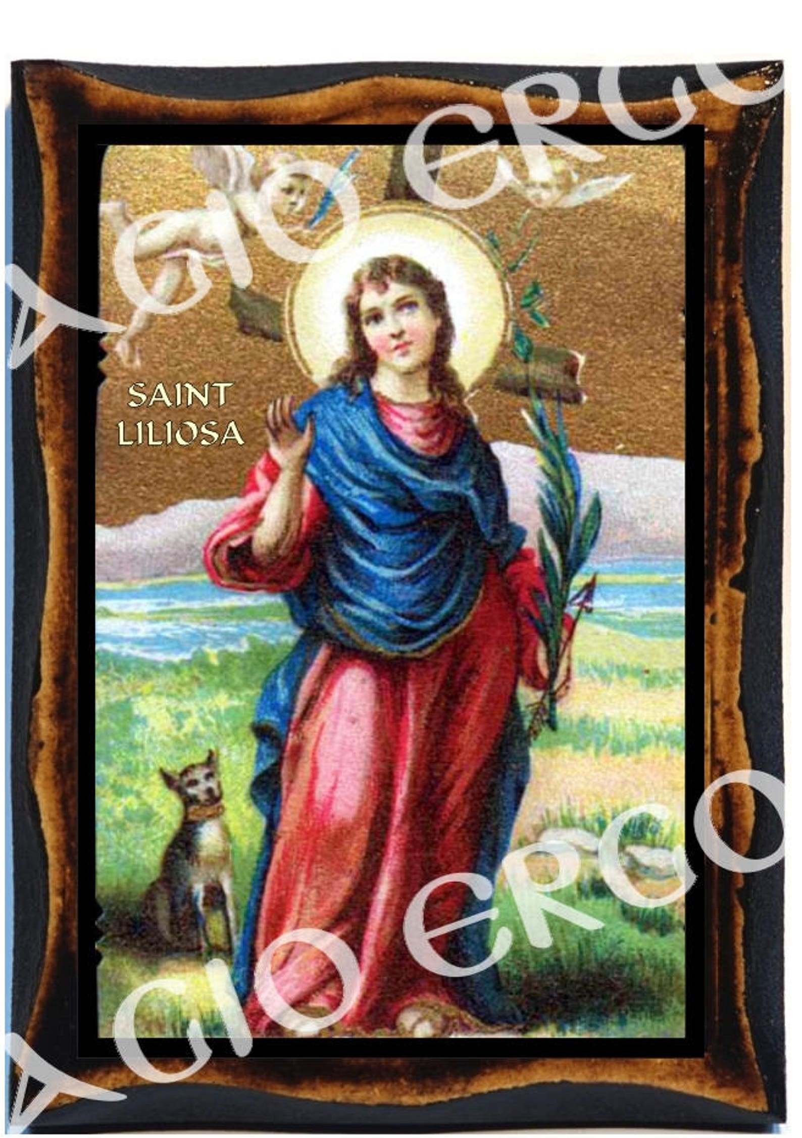 Saint Liliosa or Lilian Virgin and Martyr Catholic Christian - Etsy