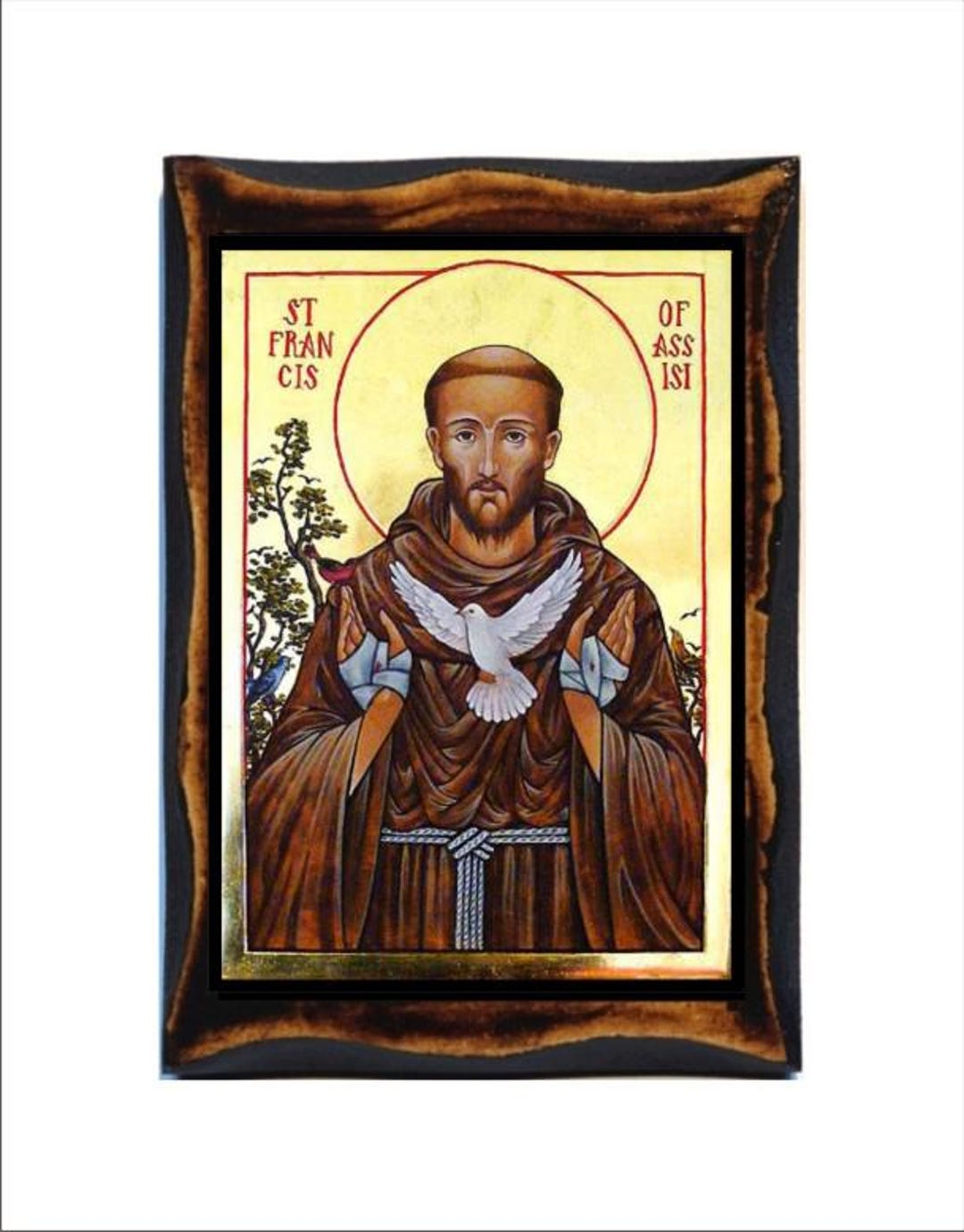 Saint Francis of Assisi - San Francesco - San Francisco - Saint ...