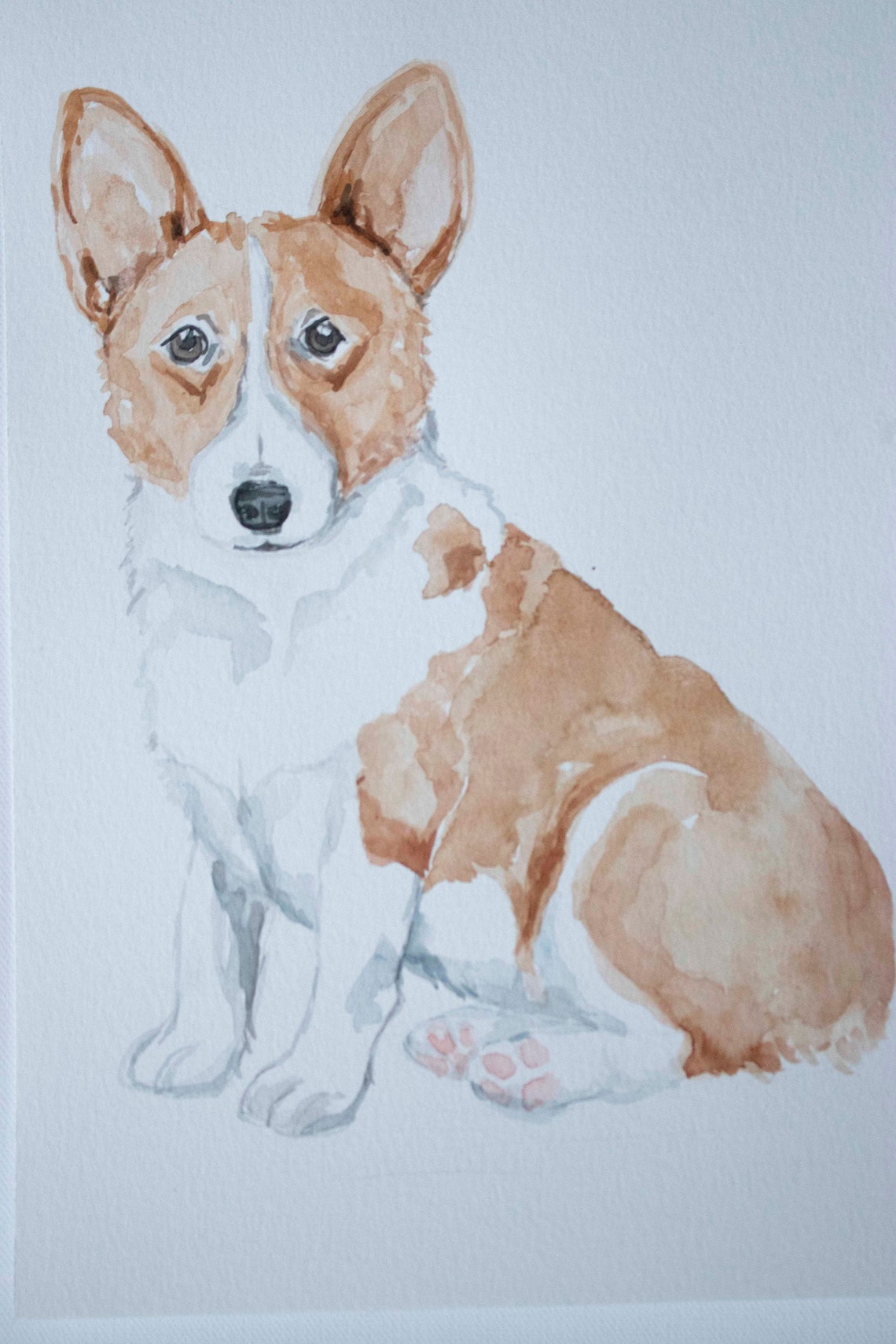 Corgi Pet Portraits Watercolor Painting - Etsy