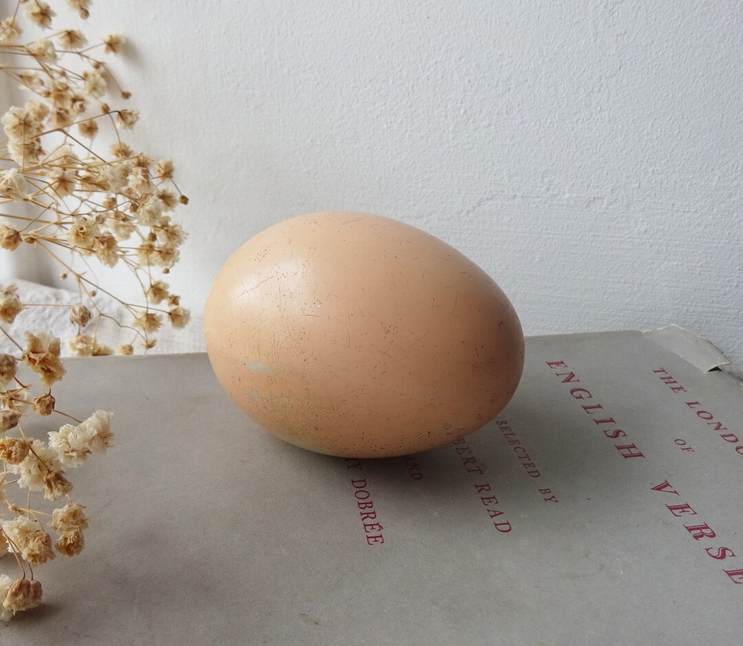 Vintage Broody Egg, Large Dummy Egg, Painted Decoy Faux Hens Egg ...