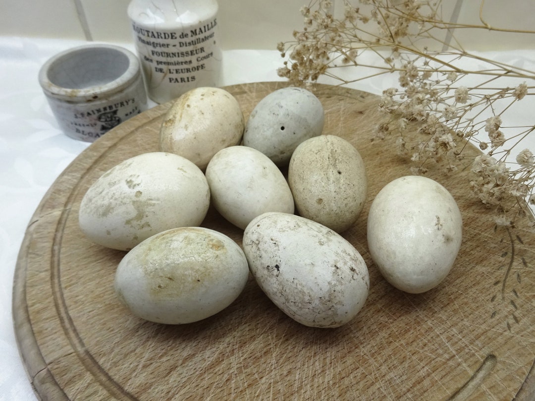 Antique Broody Egg X1, Ceramic Dummy Hen's Egg, White Decoy Egg, Faux ...
