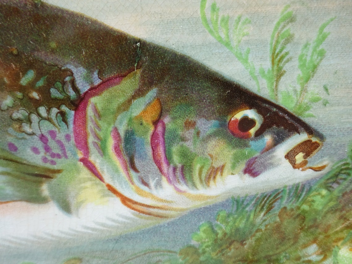 Antique Pearl Pottery Fish Platter Royal Bourbon Ware Large | Etsy UK