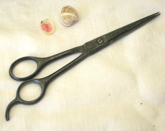 Antique Scissors, Victorian Wostenholm 1XL Scissors, Sheffield, England ...