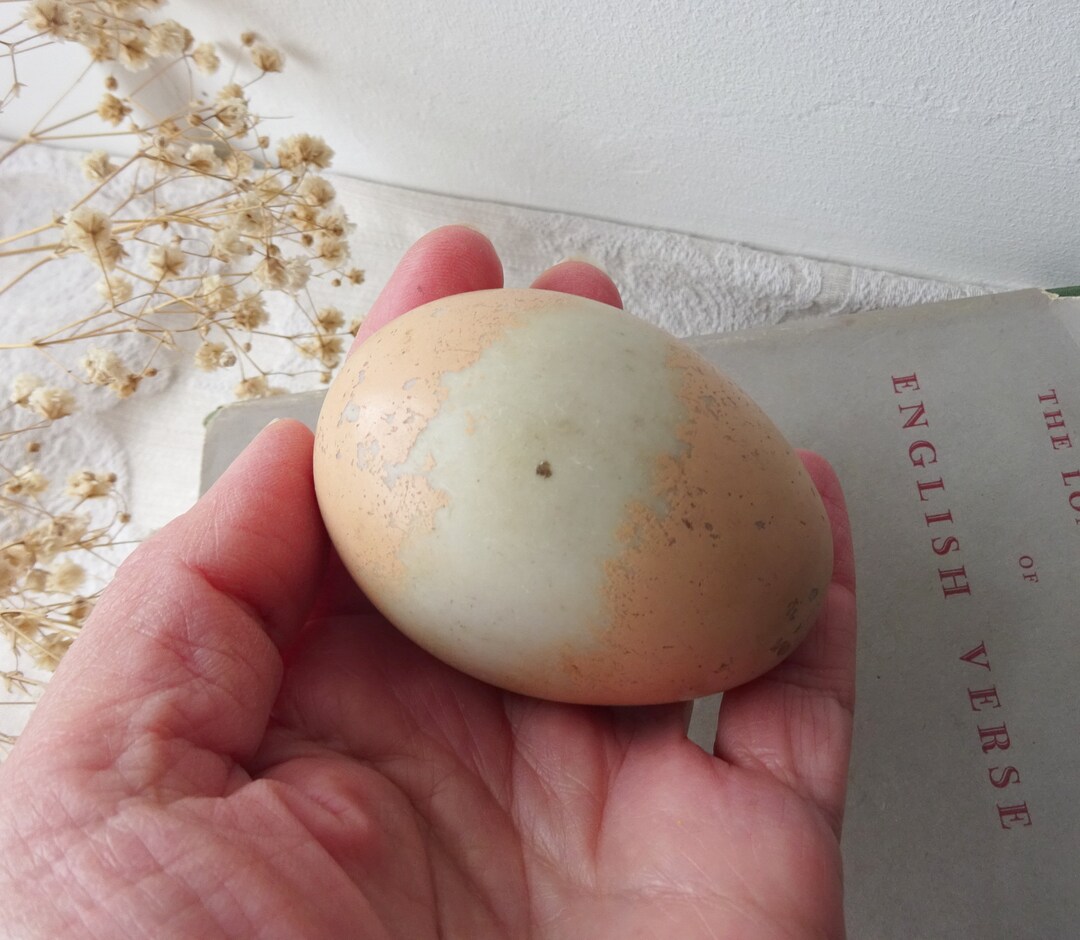 Vintage Broody Egg, Large Dummy Egg, Painted Decoy Egg, Faux Hen's Egg ...