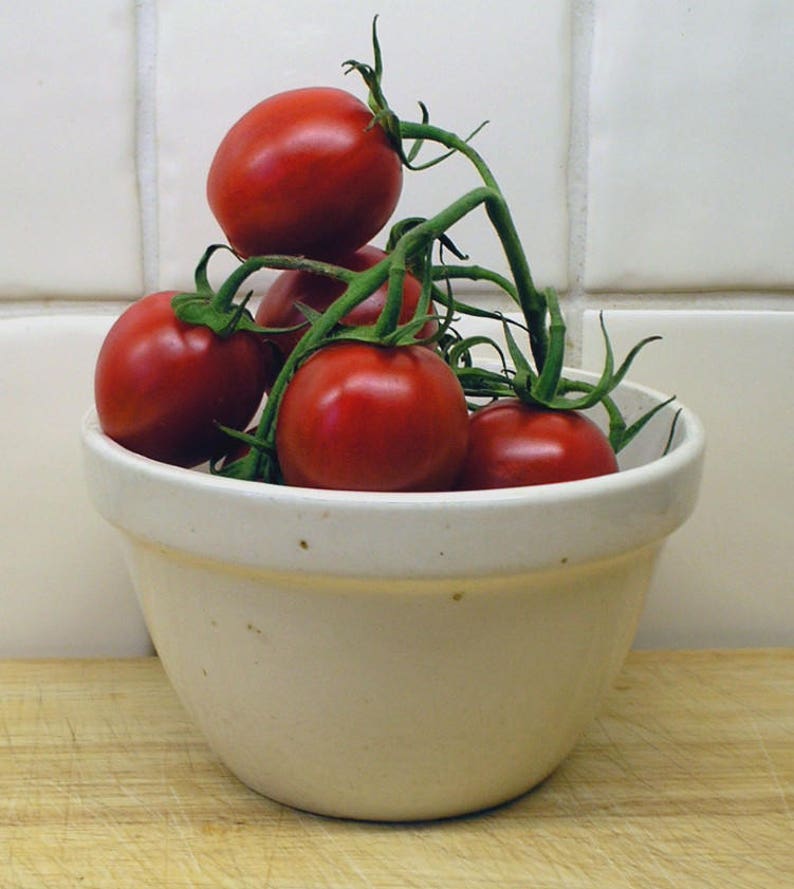 Vintage Pudding Basin 6M. Pottery Ceramic White Ironstone - Etsy