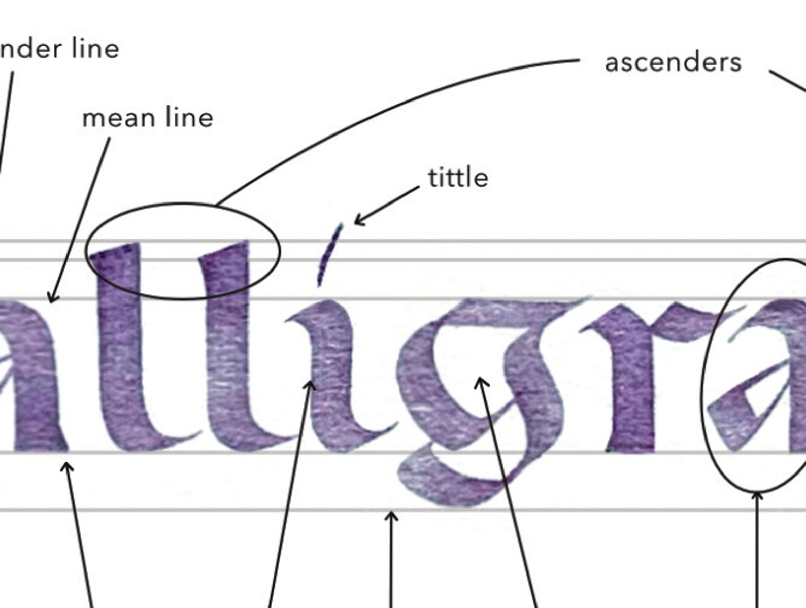 Blackletter ROTUNDA Calligraphy Worksheets Learn Gothic Calligraphy ...