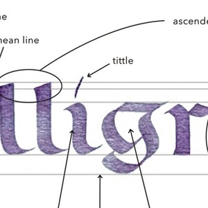 Blackletter ROTUNDA Calligraphy Worksheets - Learn Gothic Calligraphy ...