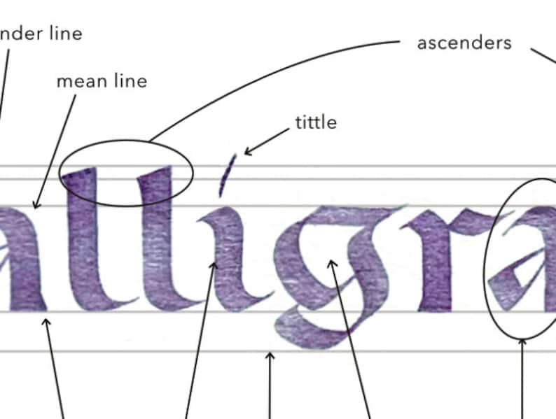 Blackletter ROTUNDA Calligraphy Worksheets - Learn Gothic Calligraphy ...