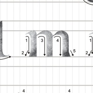 Blackletter Rotunda Calligraphy Worksheets: Gothic Workbook (instant ...