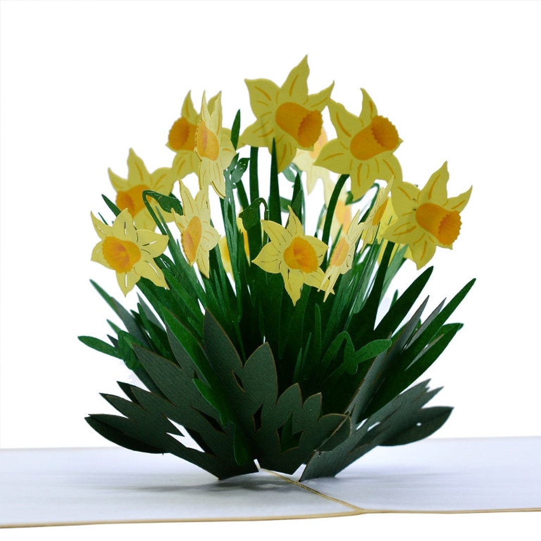 Daffodil Card, Pop up Card, 3-d Pop up Card, Popup Card, 3d Popup Card ...