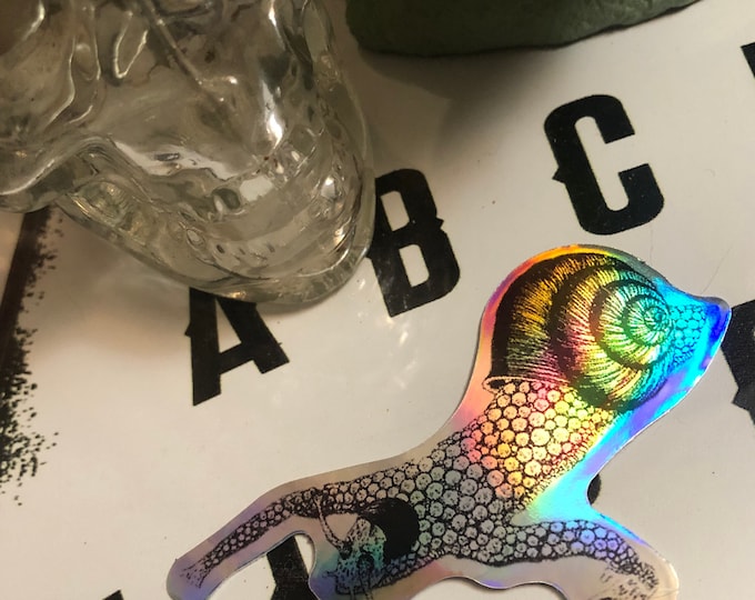 Holographic Snail Junji Ito Sticker - Etsy