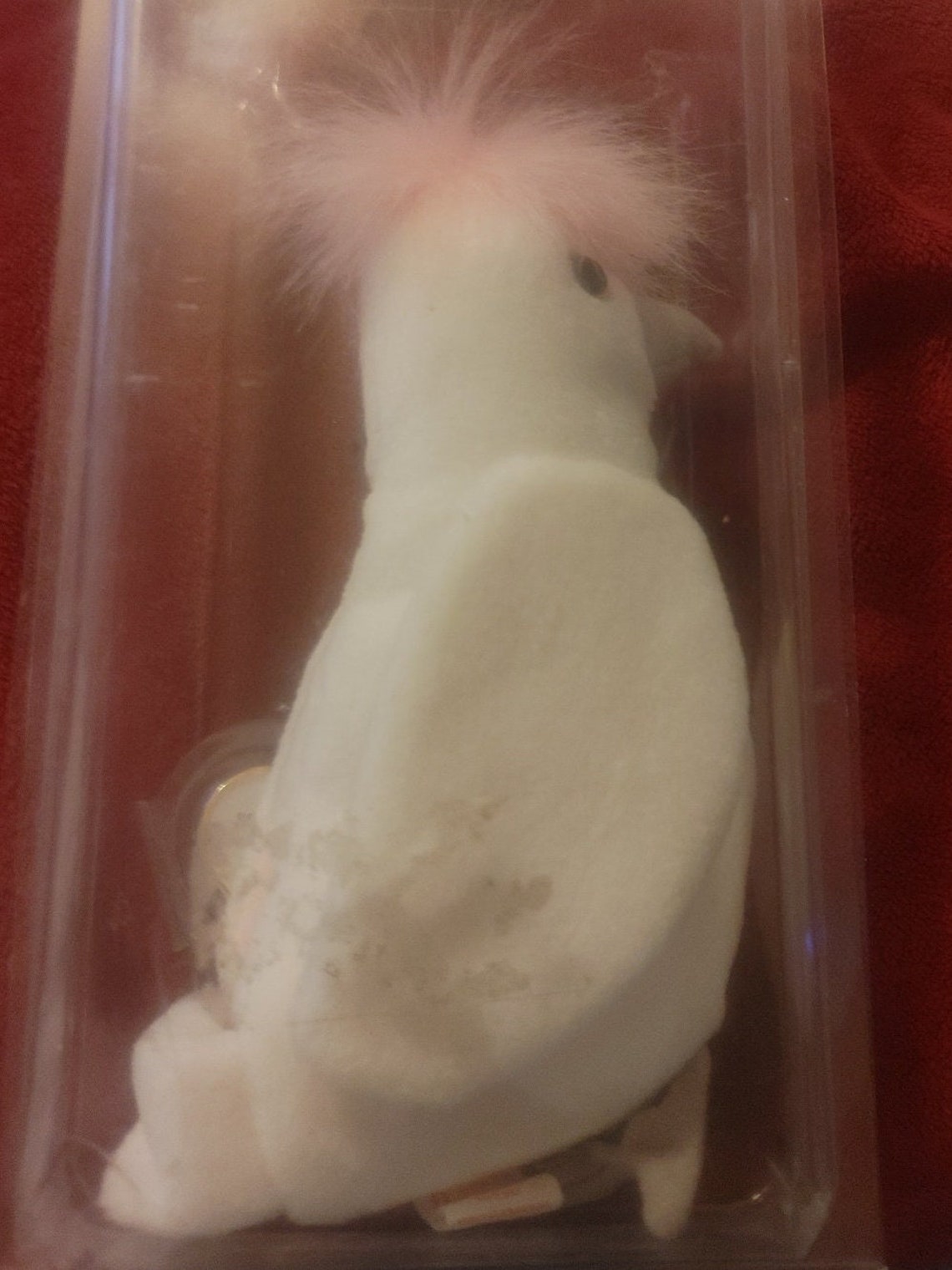 Ty Beanie Babies Kuku Cockatoo Bird White 1998 Rare - Etsy