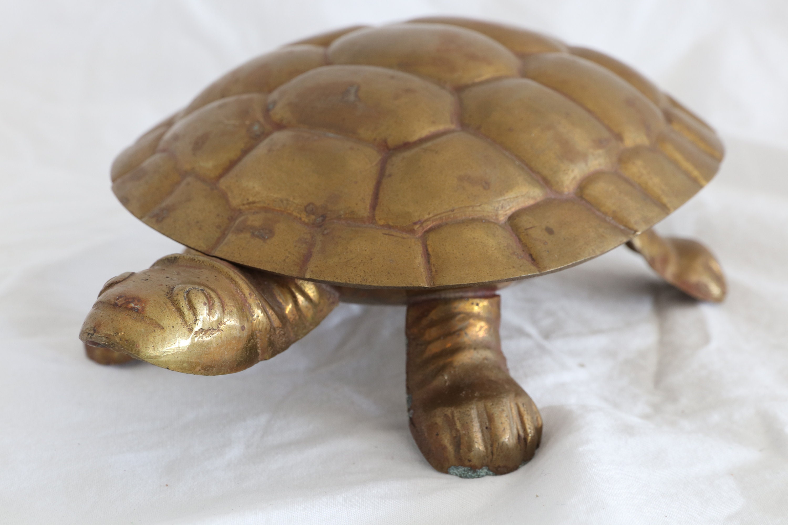 Vintage Solid Brass Turtle Trinket Box Hinged Lid - Etsy Ireland