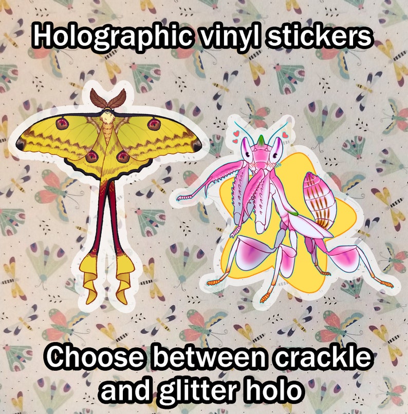 Holographic stickers of comet moth and orchid mantis | Etsy