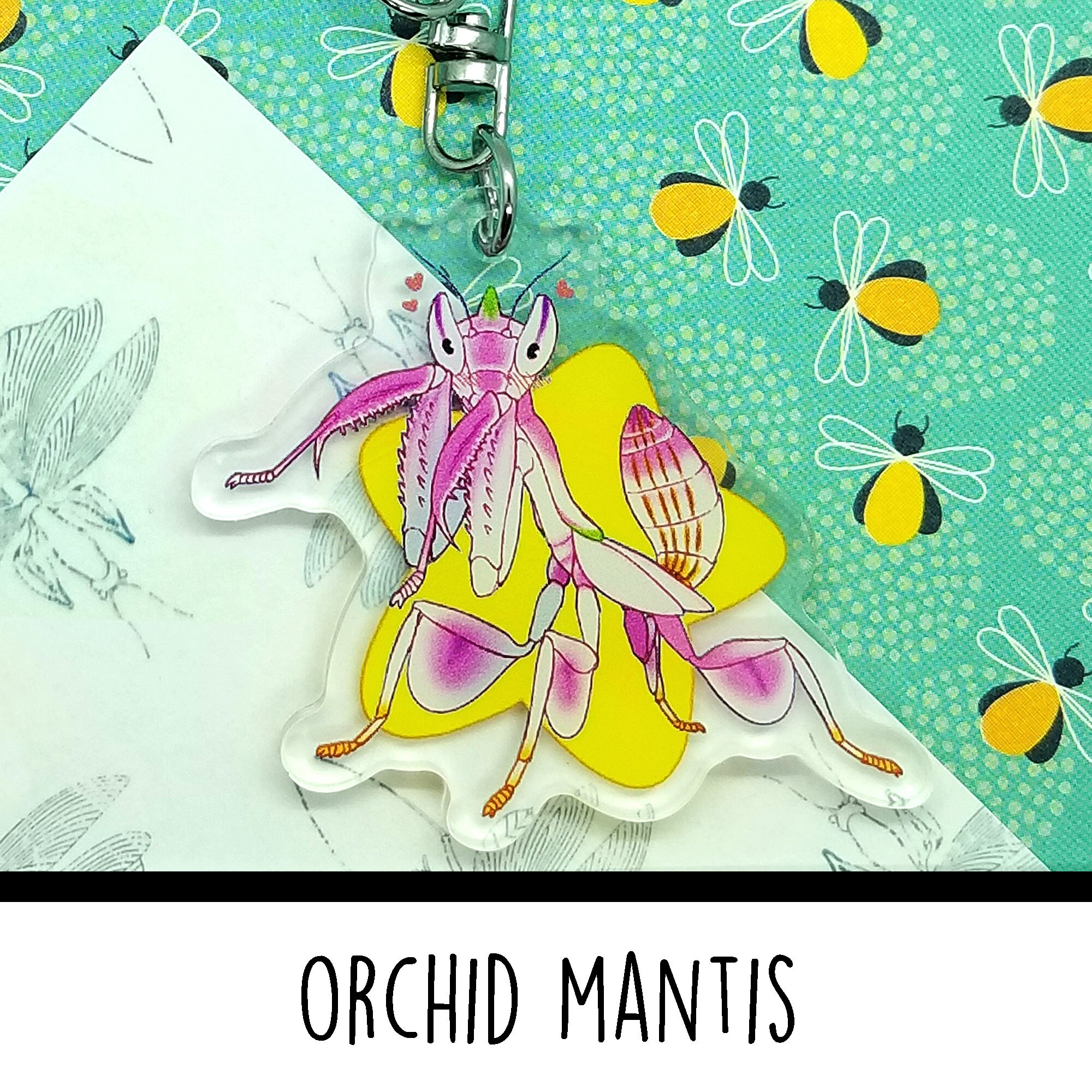 Comet Moth and Orchid Mantis Double Sided 2 Inch Acrylic - Etsy