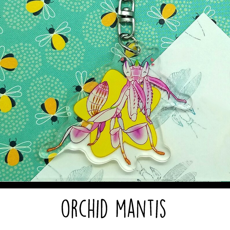 Comet moth and orchid mantis double sided 2 inch acrylic | Etsy
