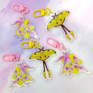Comet Moth and Orchid Mantis Double Sided 2 Inch Acrylic Charms - Etsy