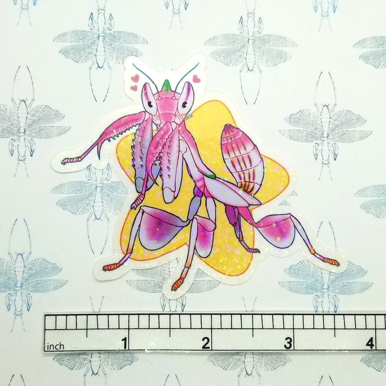 Holographic Stickers of Comet Moth and Orchid Mantis - Etsy