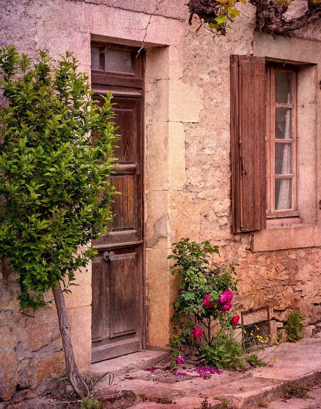 French Countryside, France Photography, Fine Art Print, Wall Art, la ...