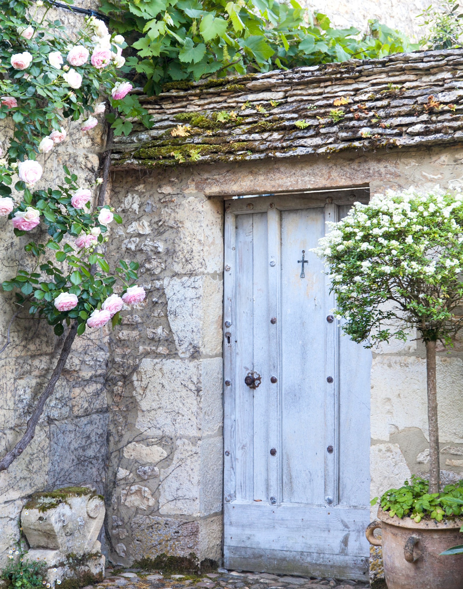French Countryside, France Photography, Fine Art Photo, Linda Ching ...