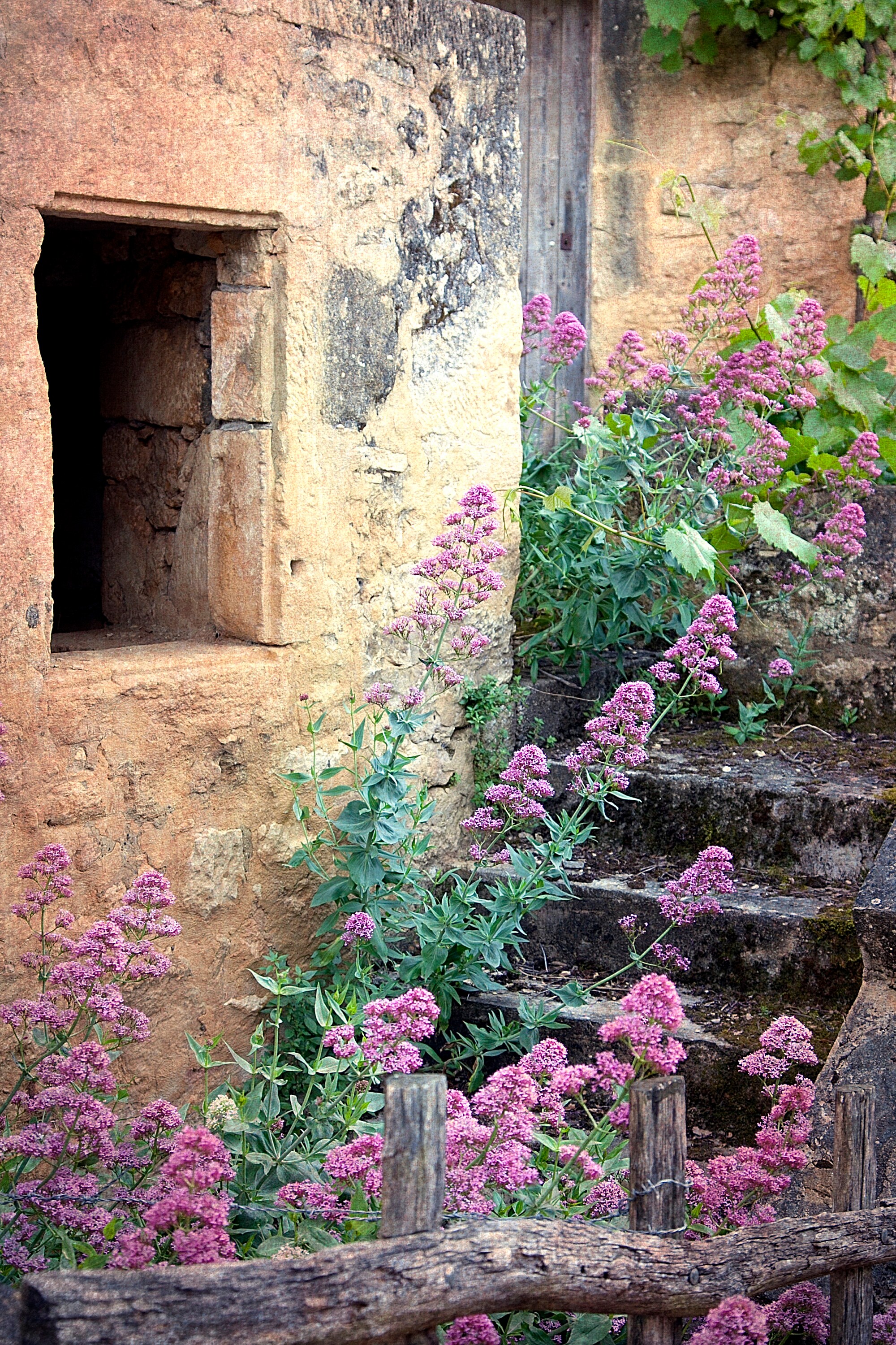 French Countryside, France Photography, Fine Art Photograph, Linda ...