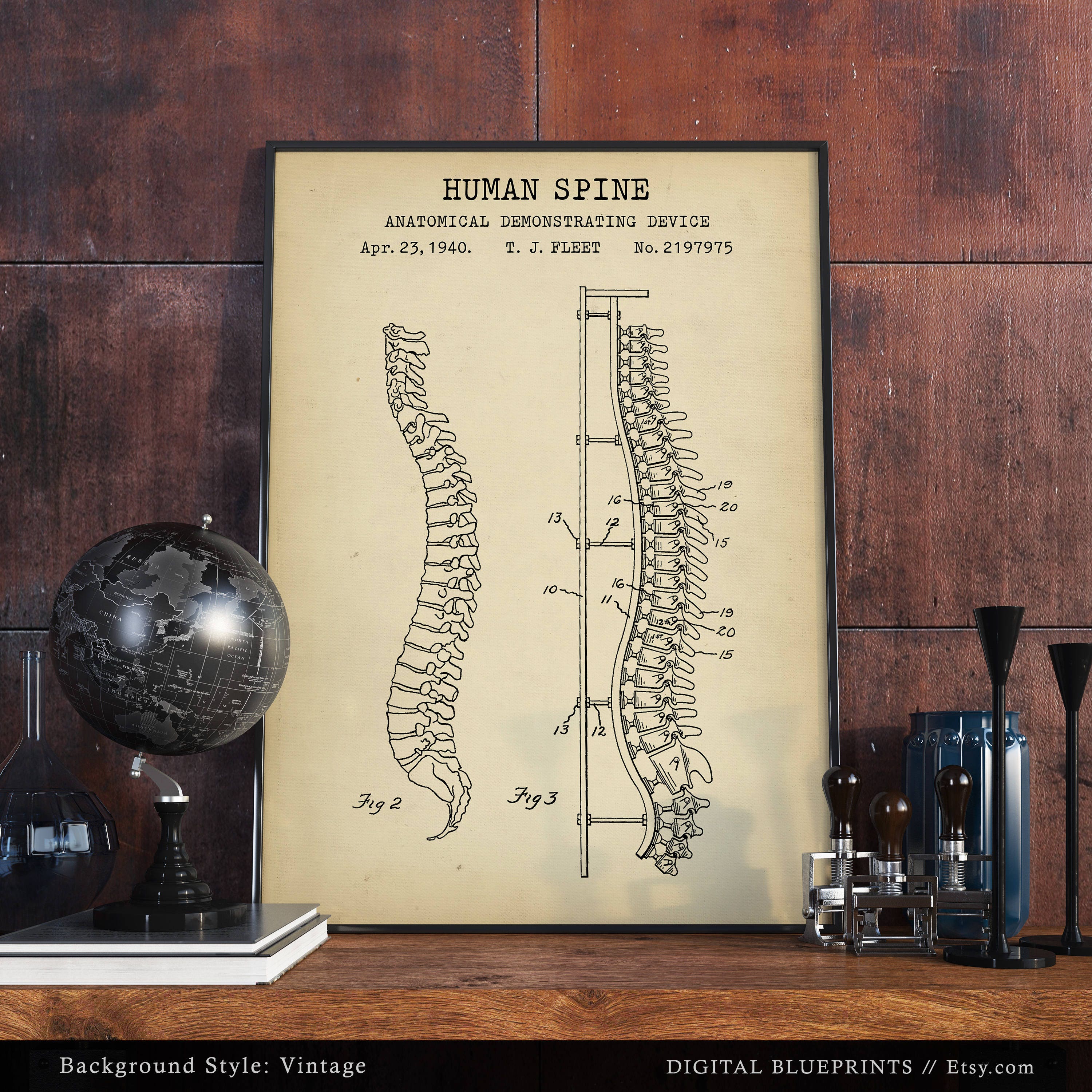 Human Skeleton Print, Anatomical Spine Art, Medical Skeleton Design ...