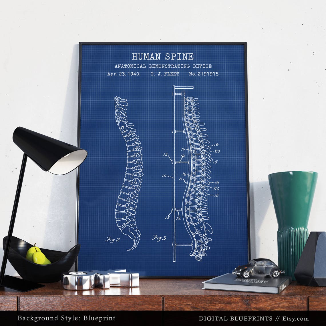 Human Skeleton Print Anatomical Spine Art Medical Skeleton - Etsy