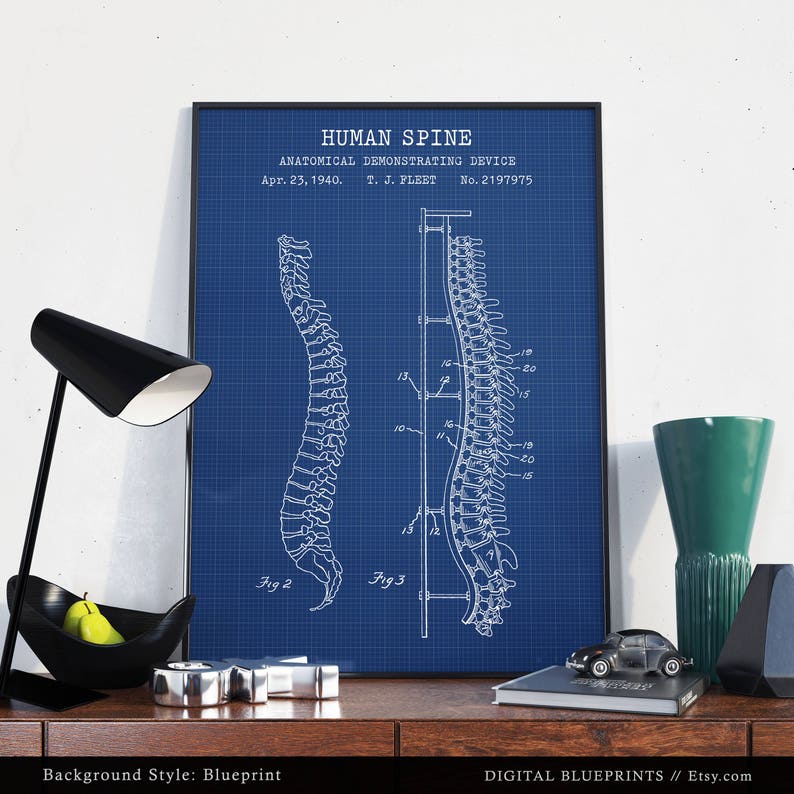 Human Skeleton Print, Anatomical Spine Art, Medical Skeleton Design ...