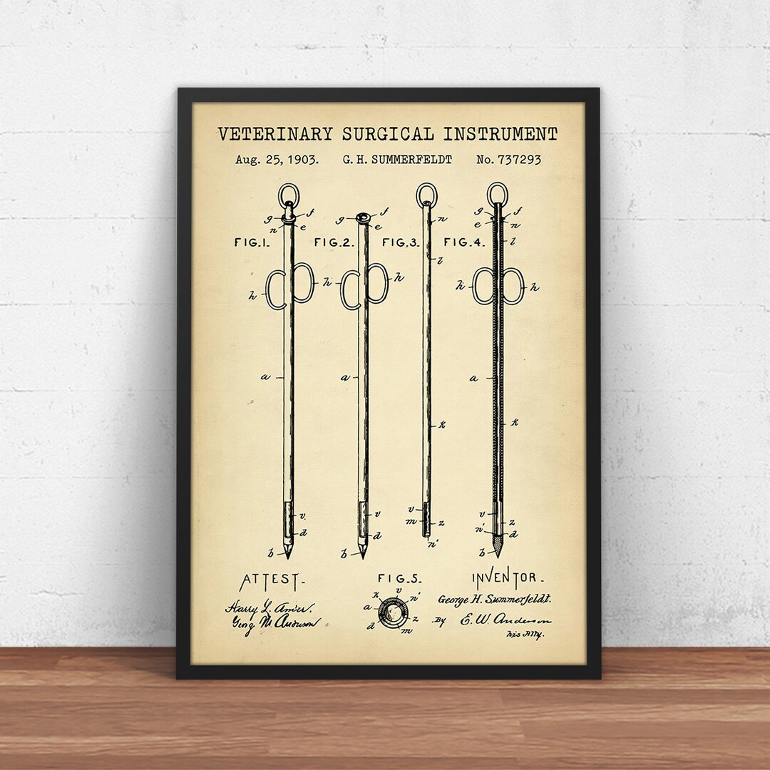 Veterinary Surgical Instrument, Patent Print, Vet Doctor Gifts ...