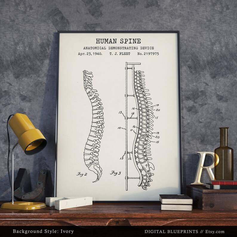 Human Skeleton Print, Anatomical Spine Art, Medical Skeleton Design ...
