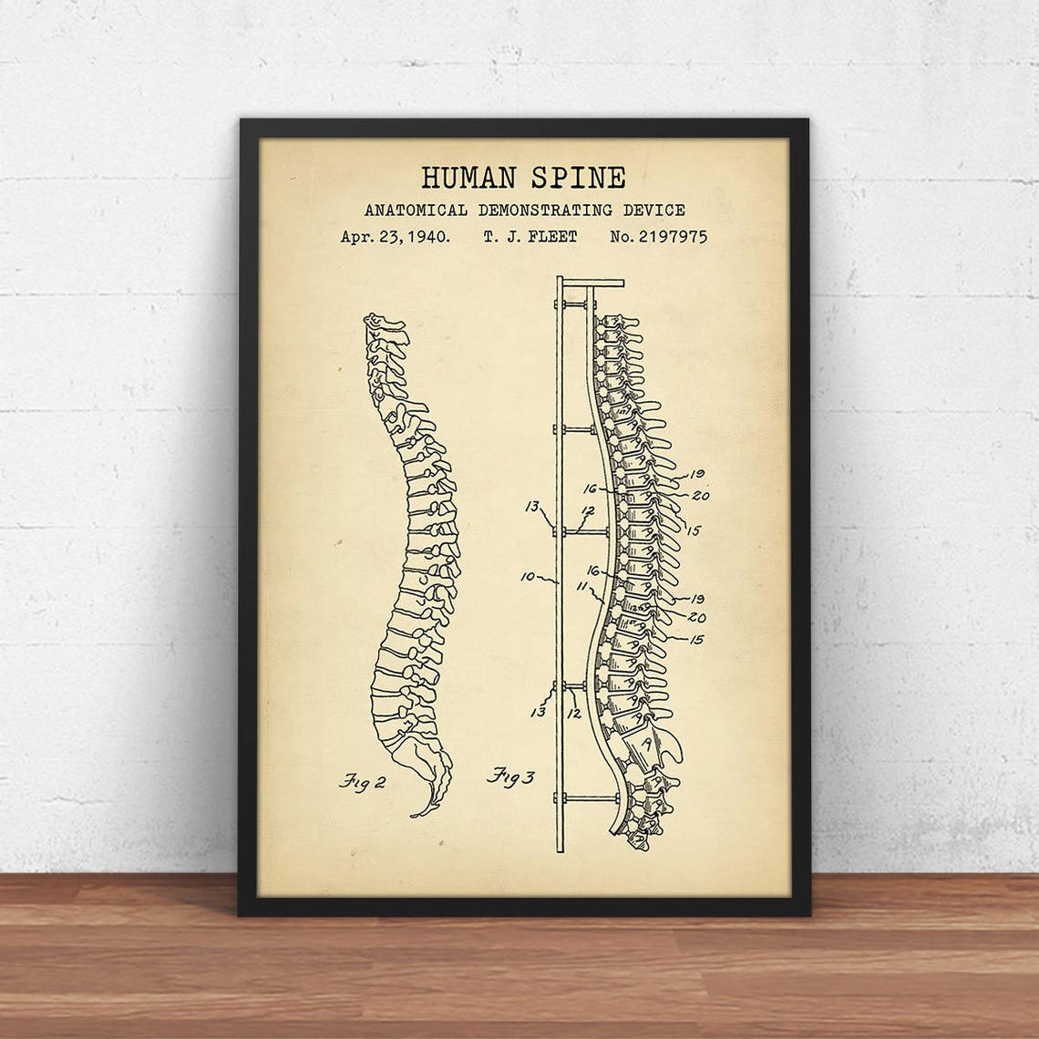 Human Skeleton Print Anatomical Spine Art Medical Skeleton - Etsy