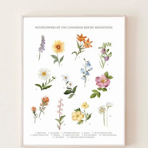 Wildflower Poster Wildflower painting wildflower chart | Etsy