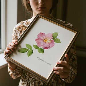 Alberta Wild Rose Watercolor Print: Canadian Wildflower Art - Etsy