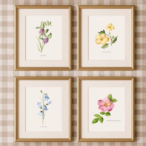 Alberta Wild Rose Watercolor Print: Canadian Wildflower Art - Etsy