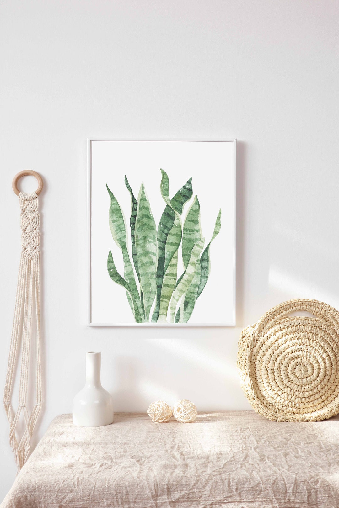 Snake Plant Art, Watercolor Snake Plant, Botanical Print, Living Room ...